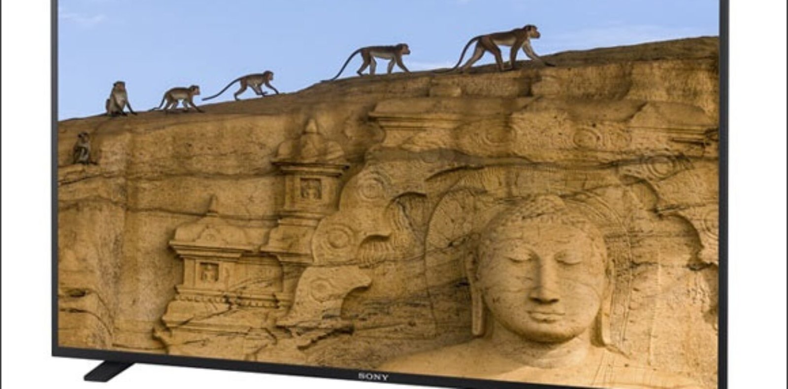 Sony introduces 55” 4K OLED monitor - Review Central Middle East